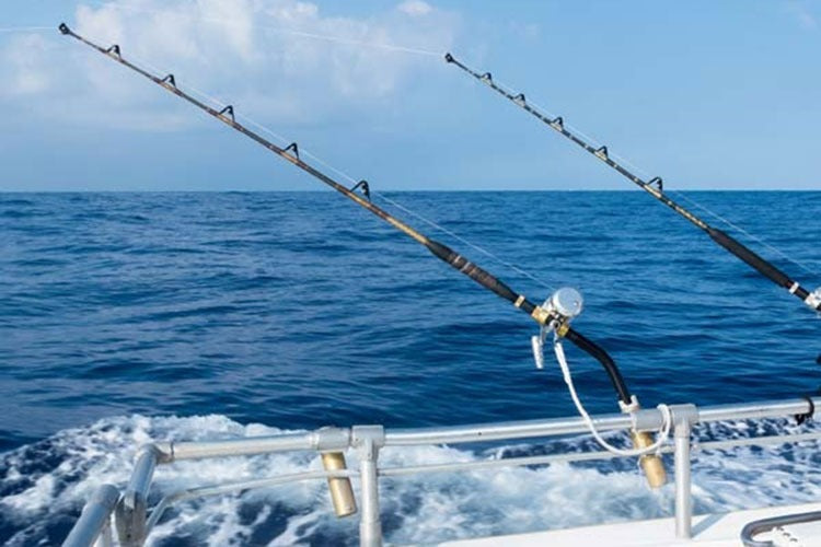 Saltwater Fishing Gear | Mia’s Angling South Africa – Rods, Reels ...